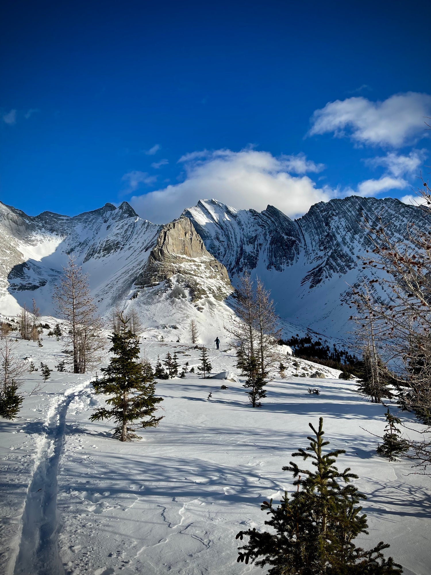 Ski and Snowboard Storage in Your Sprinter Van | Backland Expedition Gear